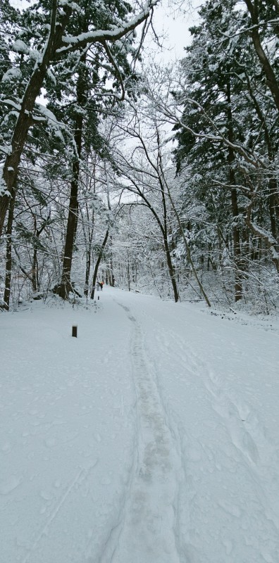 High-quality and beautiful products only for a better you